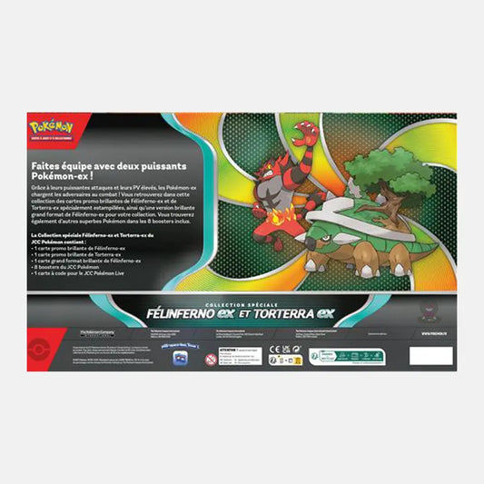 Kuro Star | Boutique spécialisée dans la vente de cartes de collection